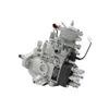 China 22100-17290 Diesel Fuel Injection Ve Pump 096000-6760 Ve6/12f1800rnd676 for Toyota Landcruiser 1HD-T for sale