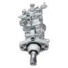 China 22100-1c190 Ve Diesel Fuel Pump Ve6/10f1900rnd264 196000-2640 for Land Cruiser 1Hz Engine for sale