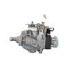 China 104641-7300 Fuel Injection Pump 1046417300 Np-Ve411f1100rnp2501 for Komatsu 4D95L Engine 6204-71-1330 for sale