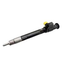 China Ds7q-9f593-Bb 9674984080 28319895 28388960 28602948 Diesel Fuel Injector for Ford Peuge for sale