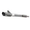 China 0445110342 Diesel Fuel Injector 0305bb1031n Injector Nozzle for Mahindra for sale