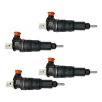 China 7422378580 Diesel Fuel Injector BEBJ1F12001 BEBJ1F12101 BEBJ1F12201 F2E fo H/D-E/1-1 for sale