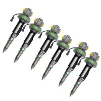China Common Rail Diesel Fuel Injector Assembly F00bj60578 for Enqine Qsk19/38/50/60 for sale
