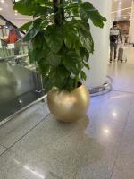China Fiberglass Round Planter Box with Custom Matte or Shiny Finish - 10 Day Sample & 30 Day Production for sale