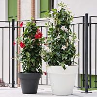 China QUANGUI QG-001 Fiberglass Flower Pots - Custom Sizes with 10-Day Sample Period for Indoor Outdoor Decor for sale