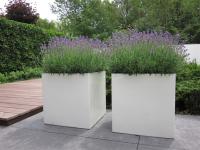 China QUANGUI QG-001 Custom Fiberglass Planters with 10-Day Sample Production and Weather-Resistant Design for sale