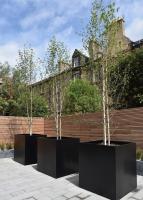 China QUANGUI QG-001 Custom Fiberglass Planters with 10-Day Sample Production and Weather-Resistant Design for sale