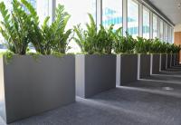 China QUANGUI QG-001 Fiberglass Flower Planters - Custom Sizes 10 Day Samples 30 Day Production for sale