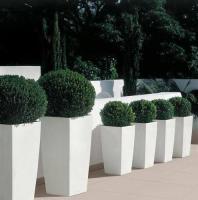 China Customizable Fiberglass Flower Pots - 30-40 Day Production, CE/Rohs Certified Planters for Indoor & Outdoor Use for sale