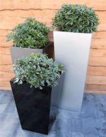 China Customizable Fiberglass Flower Pots - 30-40 Day Production, CE/Rohs Certified Planters for Indoor & Outdoor Use for sale