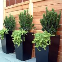 China Customizable Fiberglass Flower Pots - 30-40 Day Production, CE/Rohs Certified Planters for Indoor & Outdoor Use for sale
