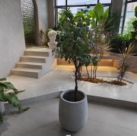 China Custom Fiberglass Flower Planter Pots 30-40 Day Production with CE Rohs Certification for Indoor Outdoor Use for sale