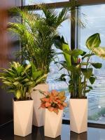 China Customizable Round Fiberglass Planter Pots - 30-40 Day Production, Multiple Sizes for Indoor/Outdoor Gardens for sale