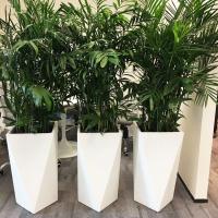 China Customizable Round Fiberglass Planter Pots - 30-40 Day Production, Multiple Sizes for Indoor/Outdoor Gardens for sale