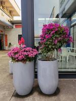 China Round Shape Fiberglass Flower Pots GRP Planter Box - 30-40 Day Production, Custom Sizes for Hotel Outdoor Indoor Use for sale
