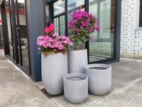 China Round Shape Fiberglass Flower Pots GRP Planter Box - 30-40 Day Production, Custom Sizes for Hotel Outdoor Indoor Use for sale