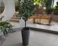 China Fiberglass Flower Pots Large Outdoor Garden Planter for Real or Artificial Trees Customizable for sale