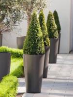 China Fiberglass Flower Pots Large Outdoor Garden Planter for Real or Artificial Trees Customizable for sale