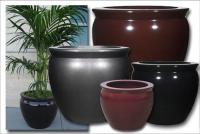 China Large Fiberglass Flower Planters Indoor Outdoor Resin Pots Customized Size 30x30x60cm for sale