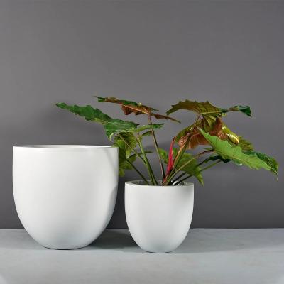 China Fiberglass Flower Planter Pots Customizable Round Square Rectangular for Indoor Outdoor Garden Decor for sale