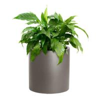 China Custom Fiberglass Flower Plant Pots Round for Indoor Plants 30-40 Days Lead Time for sale