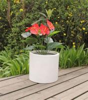 China Custom Fiberglass Flower Plant Pots Round for Indoor Plants 30-40 Days Lead Time for sale
