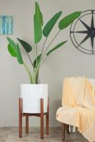 China Custom Fiberglass Flower Plant Pots Round for Indoor Plants 30-40 Days Lead Time for sale