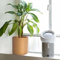 China Custom Fiberglass Flower Plant Pots Round for Indoor Plants 30-40 Days Lead Time for sale
