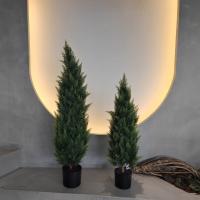 China Artificial Cactus Tree - UV Resistant Plastic Plant in Various Sizes for Indoor/Outdoor Decoration - $19.90 per Unit for sale