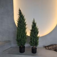 China Artificial Cactus Tree - UV Resistant Plastic Plant in Various Sizes for Indoor/Outdoor Decoration - $19.90 per Unit for sale