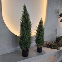 China Artificial Cactus Tree - UV Resistant Plastic Plant in Various Sizes for Indoor/Outdoor Decoration - $19.90 per Unit for sale