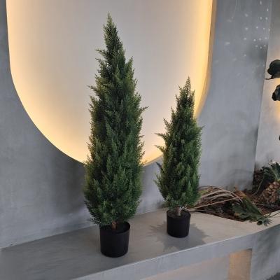 China Artificial Cactus Tree - UV Resistant Plastic Plant in Various Sizes for Indoor/Outdoor Decoration - $19.90 per Unit for sale