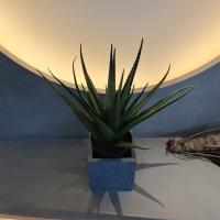 China QUANGUI Artificial Aloe Plant 50-60CM UV Resistant Waterproof Indoor Outdoor Decoration ISO Certified for sale