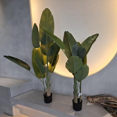 China QUANGUI LRJ-040-14002 Artificial Cactus Tree 50-60CM UV Resistant Waterproof Indoor Outdoor Decor for sale