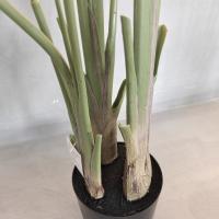China QUANGUI LRJ-040-14002 Artificial Cactus Tree 50-60CM UV Resistant Waterproof Indoor Outdoor Decor for sale