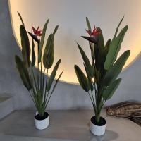 China QUANGUI Artificial Palm Tree - 3-5 Year Lifespan, ISO Certified Faux Plant for Indoor & Outdoor Decor for sale