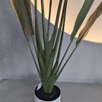 China QUANGUI Artificial Palm Tree - 3-5 Year Lifespan, ISO Certified Faux Plant for Indoor & Outdoor Decor for sale