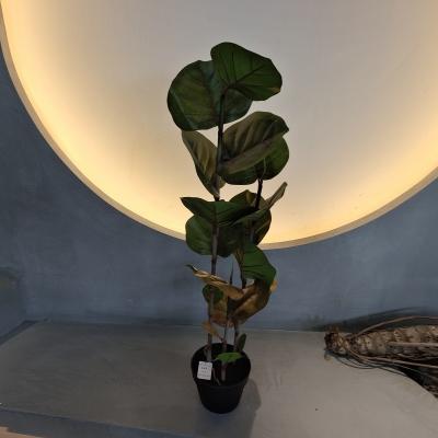 China 100cm Artificial Coccoloba Tree with UV Resistance and Waterproof Design for Indoor Outdoor Use for sale