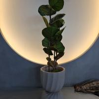 China 100cm Artificial Coccoloba Tree with UV Resistance and Waterproof Design for Indoor Outdoor Use for sale