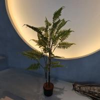 China 100cm Artificial Fern Tree with UV Resistant & Waterproof Features for Indoor Outdoor Decor for sale