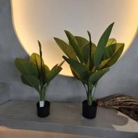 China 70cm Artificial Dieffenbachia Tree Plastic Faux Plant with UV & Waterproof for Indoor Outdoor Use for sale