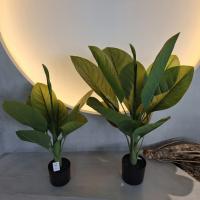 China 70cm Artificial Dieffenbachia Tree Plastic Faux Plant with UV & Waterproof for Indoor Outdoor Use for sale