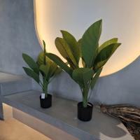 China 70cm Artificial Dieffenbachia Tree Plastic Faux Plant with UV & Waterproof for Indoor Outdoor Use for sale