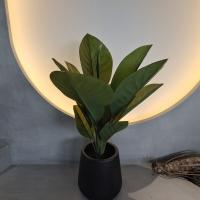 China 70cm Artificial Dieffenbachia Tree Plastic Faux Plant with UV & Waterproof for Indoor Outdoor Use for sale