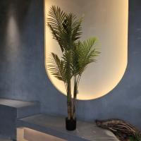 China 150-170cm Artificial Palm Tree with 3-5 Year Lifespan for Indoor and Outdoor Decor for sale