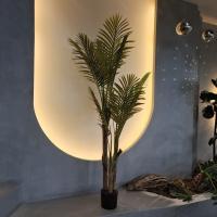 China 150-170cm Artificial Palm Tree with 3-5 Year Lifespan for Indoor and Outdoor Decor for sale