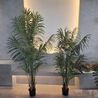 China 150-170cm Artificial Palm Tree with 3-5 Year Lifespan for Indoor and Outdoor Decor for sale