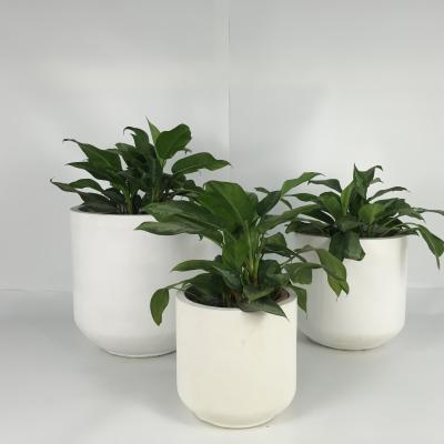 China Lightweight Fiber Clay Planter 35 lb Frost Resistant Indoor Outdoor for sale