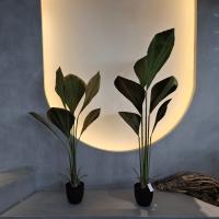 China Artificial Plants The Perfect Solution for Your Home and Office Greenery Needs for sale