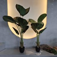 China Realistic Artificial Fan Palm Tree with Natural Green Foliage for sale